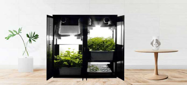 Supercloset Grow Cabinets Review 2023 - GreenBudGuru