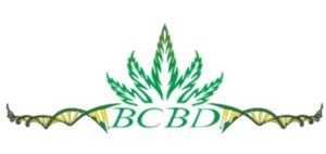 BC Bud Depot Review 2026 (My Experience) - GreenBudGuru