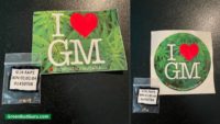 ILGM Review 2025 [My Experience]