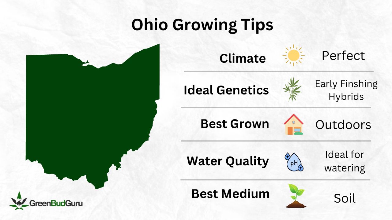 Best Strains To Grow In Ohio (2023 Update) - GreenBudGuru