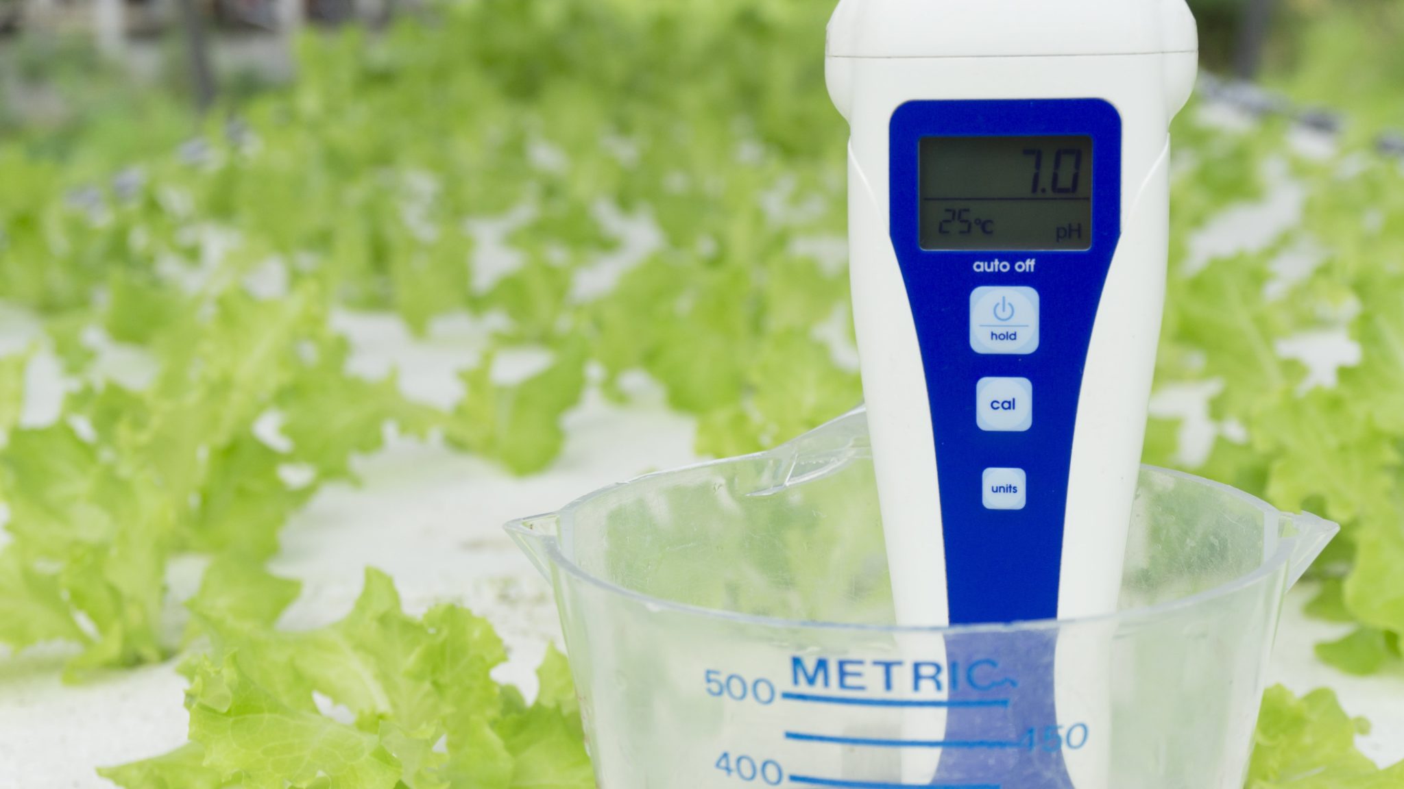 Mastering PH Down: Tips For Cannabis Growers - GreenBudGuru