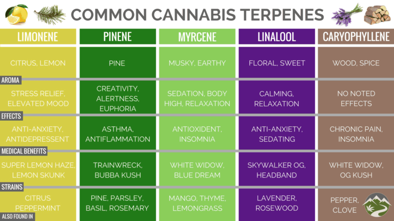 Terpene Chart: A Must-Have For Cannabis Aficionados - GreenBudGuru
